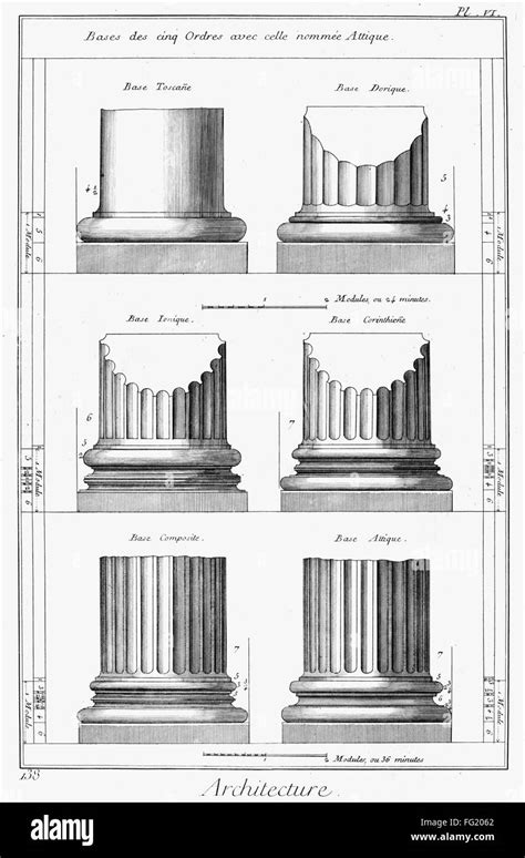 Architecture Columns Ndiagram Of Various Orders Of Classical Columns Engraving 19th Century