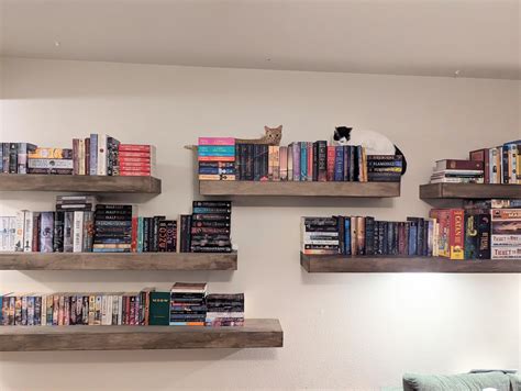 96 best r catwalls images on pholder living room cat wall