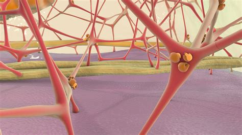 3d Cytoskeleton Cell Turbosquid 1624164