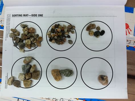 Class 2M9 Sorting Rocks