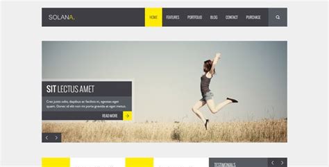 solana website templates themeforest