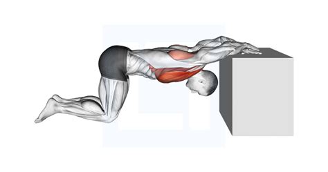 Negative Push Up Guide Benefits And Form