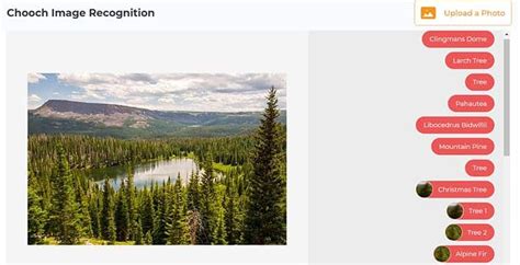 Chooch Ai Develops Agnostic Computer Vision Platform Nanalyze