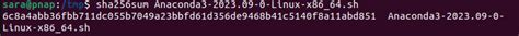 Ubuntu Anaconda Wfuing S Blog