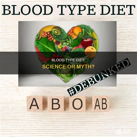 Blood Type Diet: Science Or Myth? | ShunKeto
