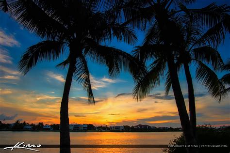 Two Coconut Trees South Florida Sunset Hdr Photography By Captain Kimo