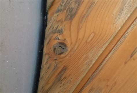 Wooden Cladding Deterioration Cladding Coatings