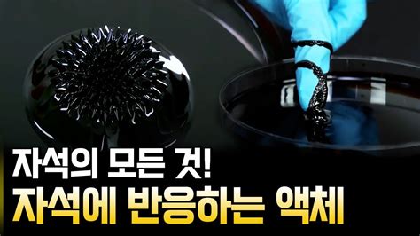몰랐던 자석의 비밀을 알아본 시간 별별실험실 Youtube