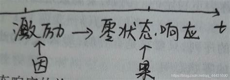 【信号与系统】5 系统的特性、lti系统分析信号与系统因果性和稳定性lti系统 Csdn博客