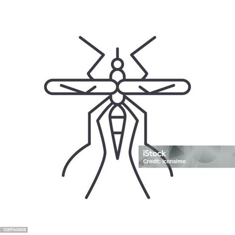 모기 아이콘 선형 격리 된 그림 얇은 선 벡터 웹 디자인 기호 흰색 배경에 편집 가능한 스트로크와 개요 개념 기호 반란에 대한