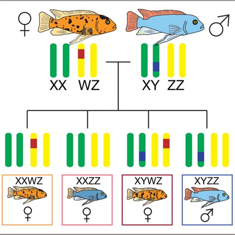 Blog The Moore Lab