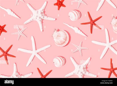 Seamless Seashell Pattern Hi Res Stock Photography And Images Alamy