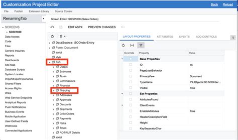 Tips How To Rename Tabs In Acumatica Germinit Innovation