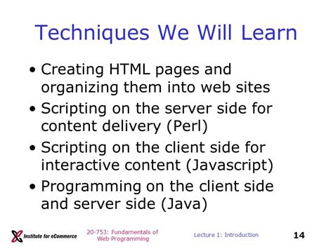 20 753 Fundamentals Of Web Programming 1 Lecture 1 Introduction