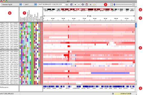 Integrative Genomics Viewer High Performance Visualization Tool For
