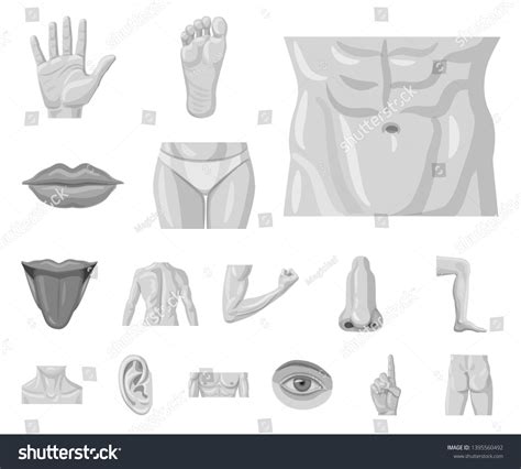 Bitmap Design Human Part Icon Collection Stock Illustration 1395560492 Shutterstock