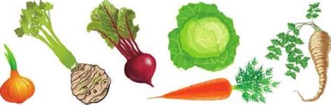 ВІД НАСІНИНКИ ДО РОСЛИНКИ ПО ЗЕМЛІ ІДЕ ЗИМА Підручник Я