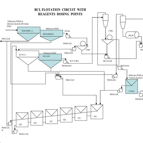 BCL Ore Treatment Flow Sheet Download Scientific Diagram