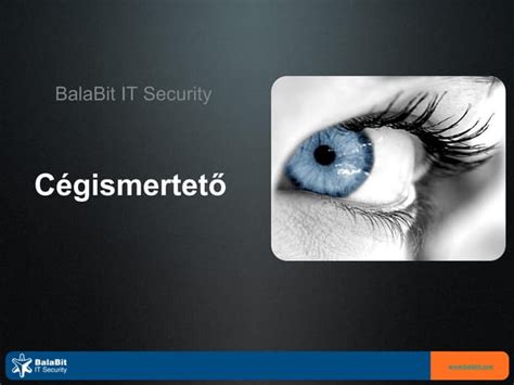 Balabit It Security Cégismertető Prezentációja Pdf