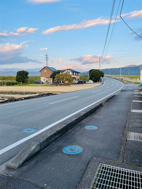 🇯🇵🛣🌾🌾 นาญี่ปุ่น วันนี้ 🌾🌾🛣🇯🇵 セイand ดอกไม้กับชนบทญี่ปุ่น