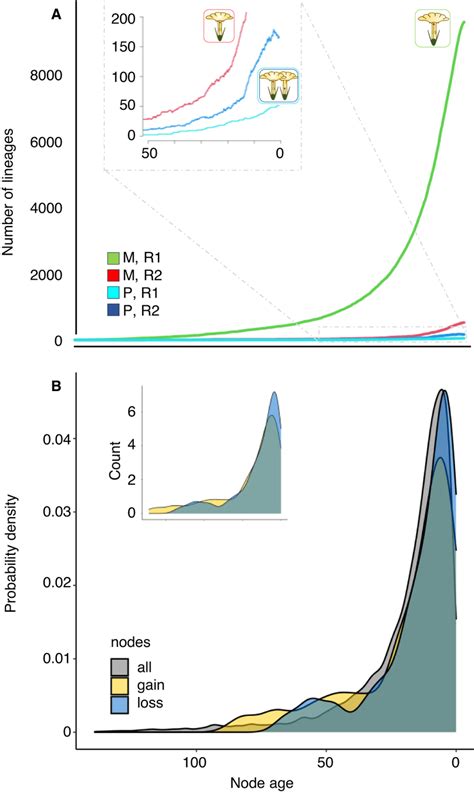 Evolution Of Style Length Polymorphism Along The Evolutionary History Download Scientific