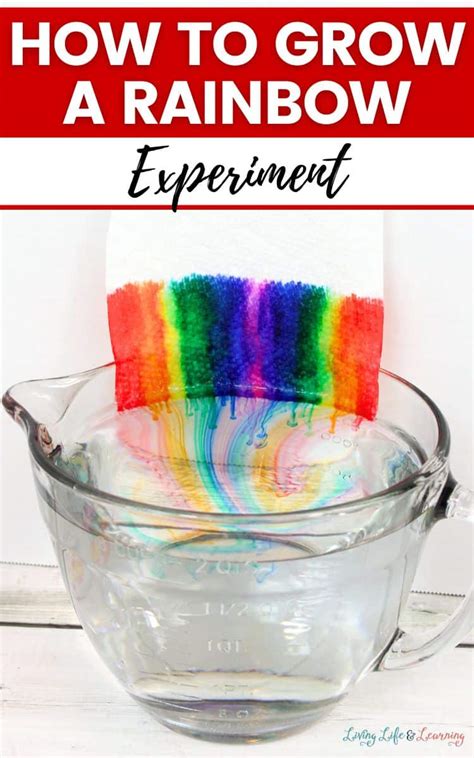 How To Grow A Rainbow Experiment With Everyday Items