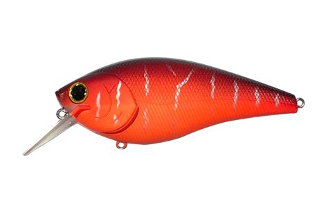 Fat CB B D S BLENKEN