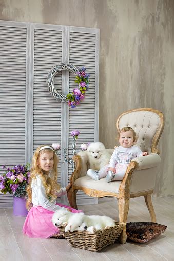 금발 소녀 자매 포즈 허스키 강아지 화이트 레트로 스튜디오 촬영에 색상 귀여운 어린 아이 자매 디자인된 홈 장식에서 강아지 강아지와 함께 재생합니다 2명에 대한 스톡 사진