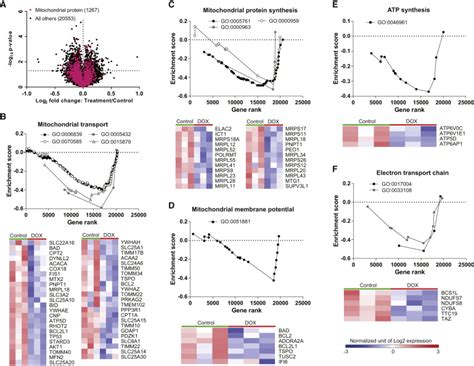 Impact Of Doxycycline On Gene Expression In The Human Bladder Cancer Download Scientific