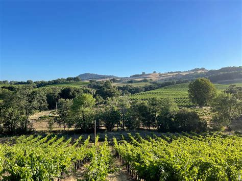 Napa And Sonoma Venu Magazine