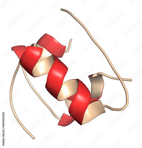 Insulin Peptide Hormone Molecule Used In Treatment Of Diabetes Stock Illustration Adobe Stock