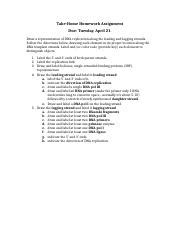 Dna Replication Drawing Docx Take Home Homework Assignment Due Tuesday April Draw A