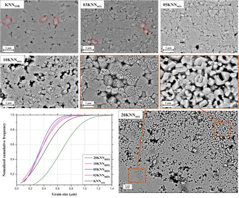 Sem Micrographs Of Polished And Thermally Etched Cross Sectional