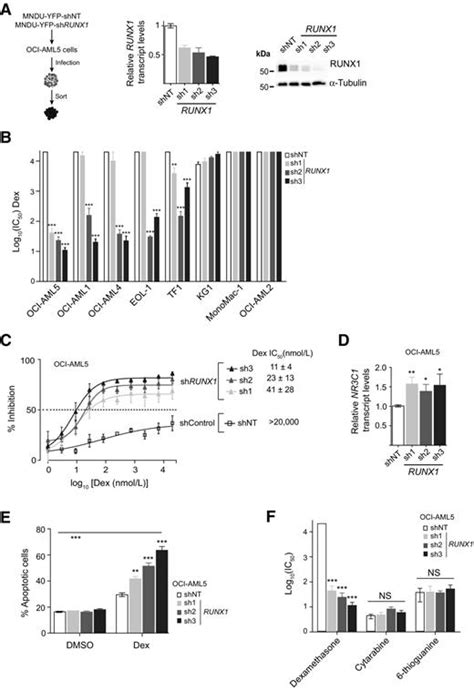 Chemogenomic Landscape Of Runx1 Mutated Aml Reveals Importance Of Runx1 Allele Dosage In