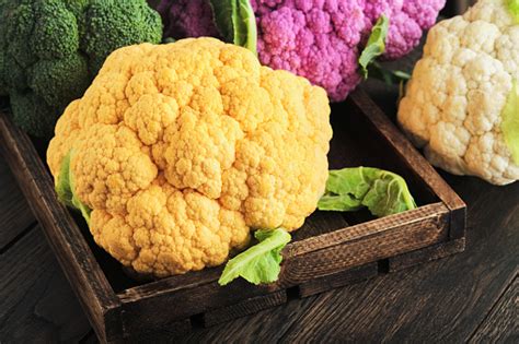 컬러푸 콜리플라워 오래된 나무 배경에 콜리 플라워의 다양한 종류 보라색 노란색 흰색 및 녹색 양배추 브로콜리와 로마네스코 농업 수확 모의 0명에 대한 스톡 사진 및 기타