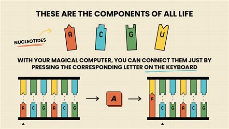 Genetic Alphabet By Mortino