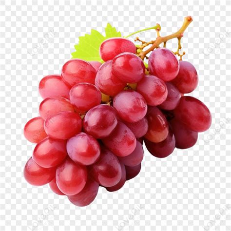 흰색 배경에 분리된 익고 즙이 많은 붉은 포도 한 다발빨간색말린 씨앗 Png 일러스트 무료 다운로드 Lovepik