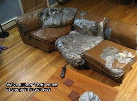 Couch R Funny