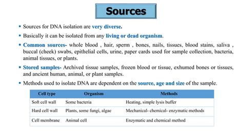 Dna Basics On Isolation Quantification Storage Pptx Biological Sciences Science