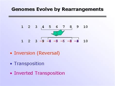 largescale phylogenetic analysis tandy warnow associate professor
