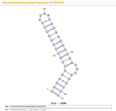Rna Drawing Rna Drawing