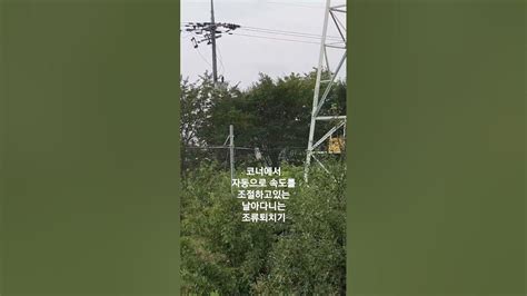 자동 속도조절하는 날아다니는 조류퇴치기 Youtube