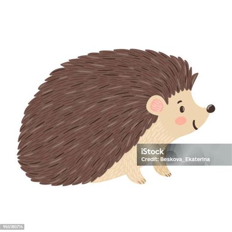 웃는 고슴도치의 벡터 그림입니다 백색에 절연 되어 있습니다 귀여운 만화 캐릭터입니다 고슴도치에 대한 스톡 벡터 아트 및 기타 이미지 고슴도치 만화 귀여운 Istock