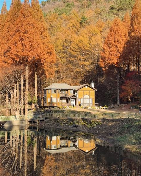지현 제품제공 미니 사이즈의 무아스 다리미만 있으면 언제 어디서든 간편하게 다림질 하기 쉽다구요 이젠 옷 구김 걱정없이 예쁘게 스타일링 가능🩷 ☑️ 출장이나 여행