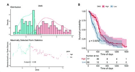 Dna Methylation Score Dms Gradient Grouping For Tumors A Dms
