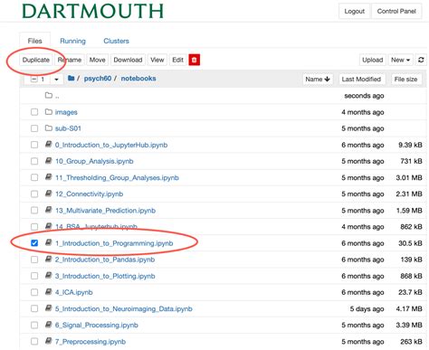 Introduction To Jupyterhub — Dartbrains