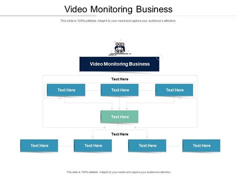 Video Monitoring Business Ppt Powerpoint Presentation Show Infographics