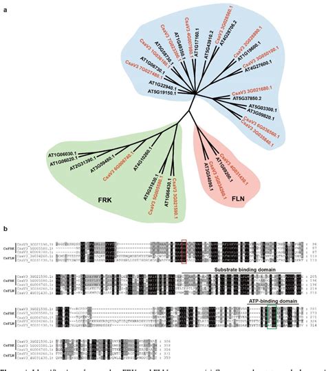 Figure 1 From A Comparative Characterization And Expression Profiling