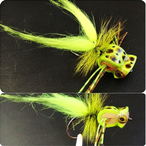 Frog Fly Patterns Pattern Matching Algorithms
