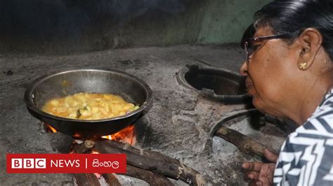 ශ්‍රී ලංකාවේ දර ලිප් සහ ගෘහස්ථ වායු දූෂණය නොකළ යුතු දේ මොනවාද Bbc News සිංහල